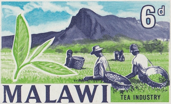 Malawi Philately: 1964 Definitive Series – 6d Tea Industry - The ...